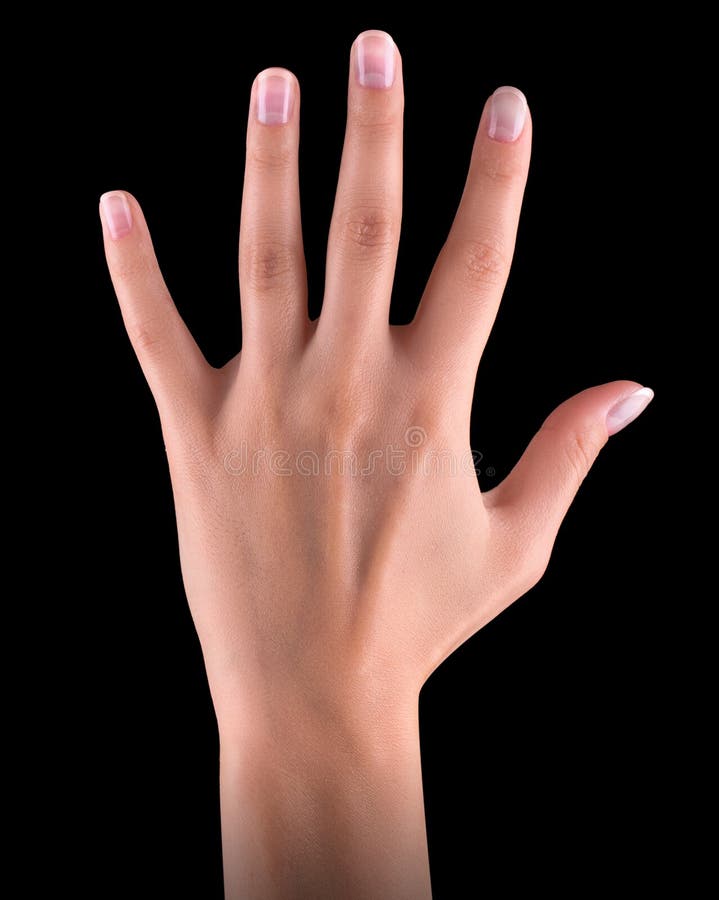A Mão Está Mostrando Cinco Dedos Isolados Foto de Stock - Imagem de ...