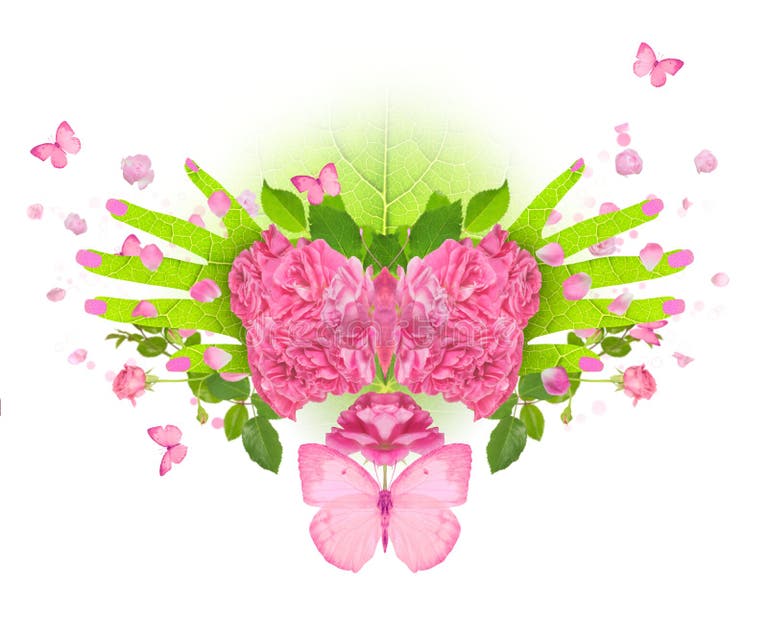 Mãos da borboleta de Rosa imagem de stock. Imagem de psique - 26209151