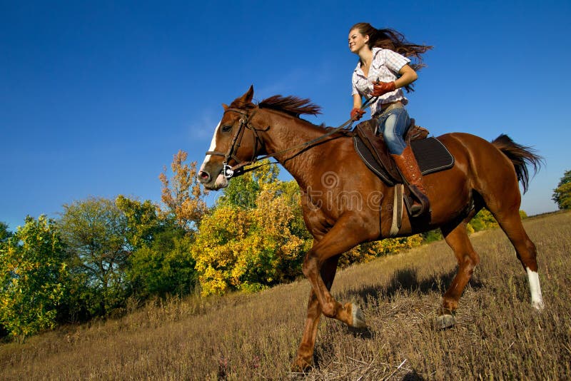 Schöne Frau Mit Einem Pferd Auf Dem Feld. Mädchen Auf Stockbild - Bild ...