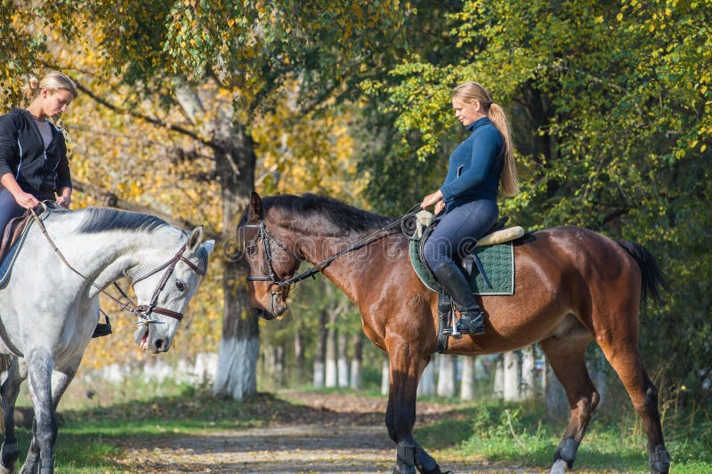 Mädchen, Die Ein Pferd Reiten Stockbild - Bild von dame, tier: 51373793