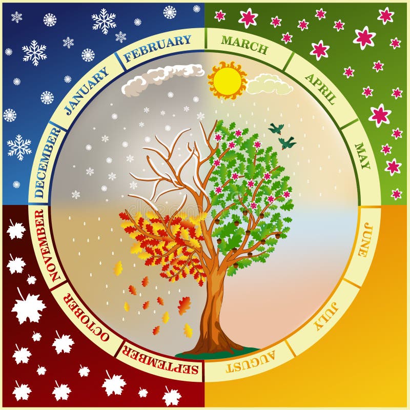 12 månader av året vektor illustrationer. Illustration av natur - 110742328