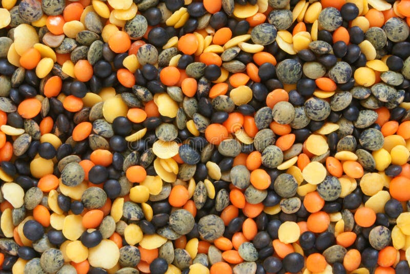 Lentilles rouges image stock. Image du milieux, couleur - 25610021