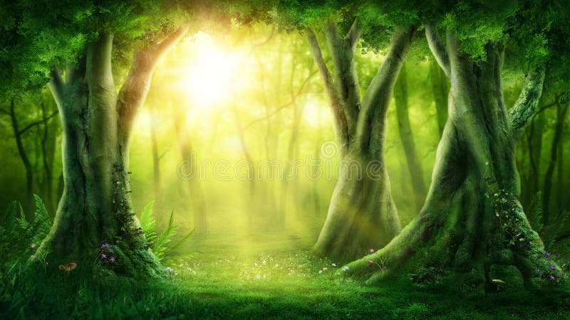 Mörk magisk skog fotografering för bildbyråer. Bild av föreställ ...