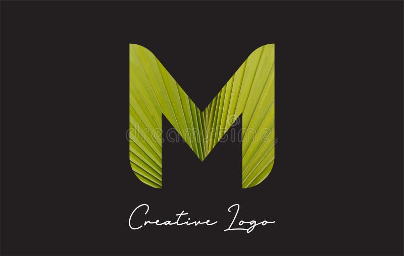 M Letter Logo with Palm Tree Leaf Pattern Design Stock Vector ...