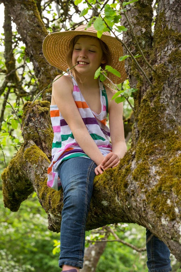 M portrait hat tree 4 stock image. Image of long, nicely - 55700911