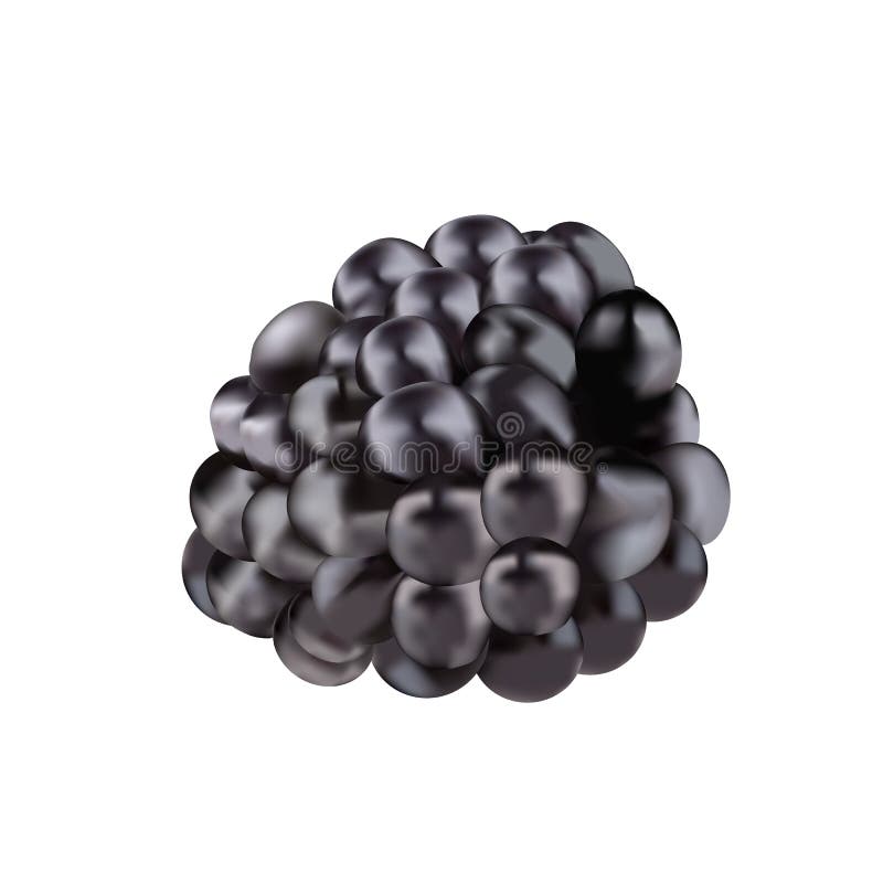 Mûre illustration de vecteur. Illustration du végétarien - 63481878