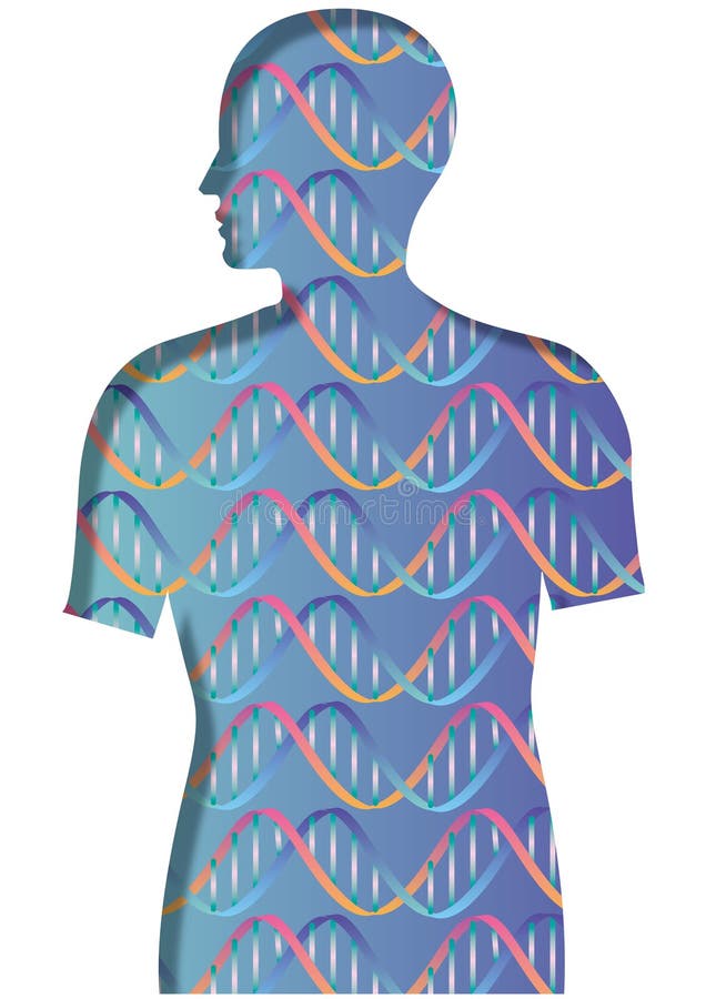 X-ray dna helix structure stock illustration. Illustration of xray ...