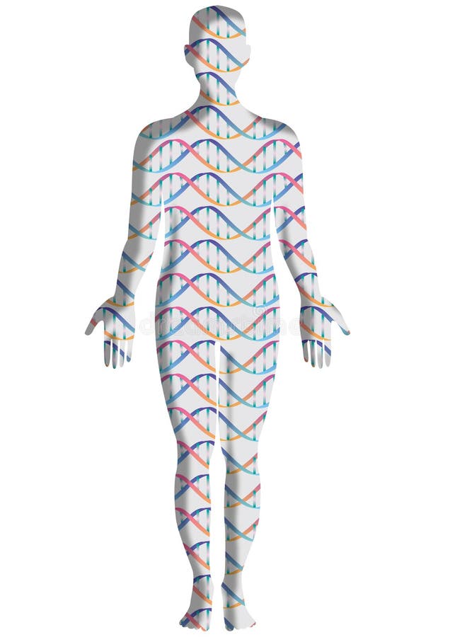 X-ray dna helix structure stock illustration. Illustration of xray ...