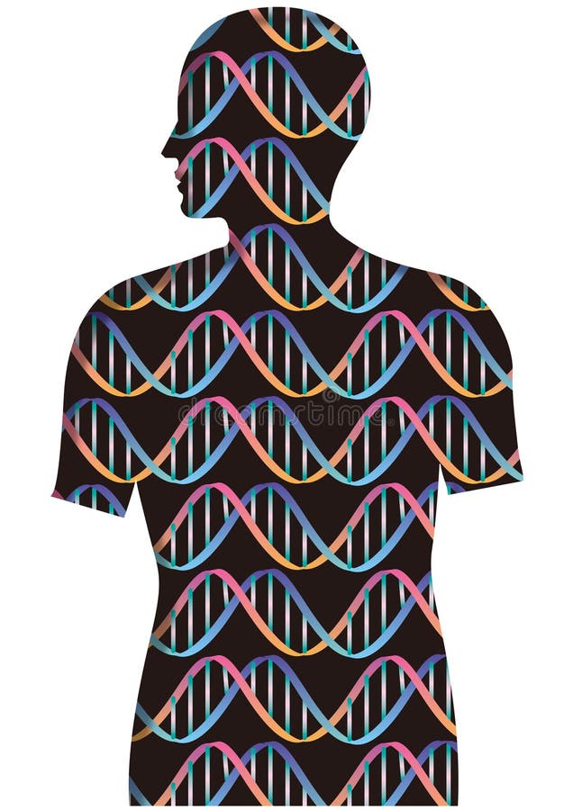 Double Helix Structure Pattern in Upper Body Silhouette Stock Vector ...