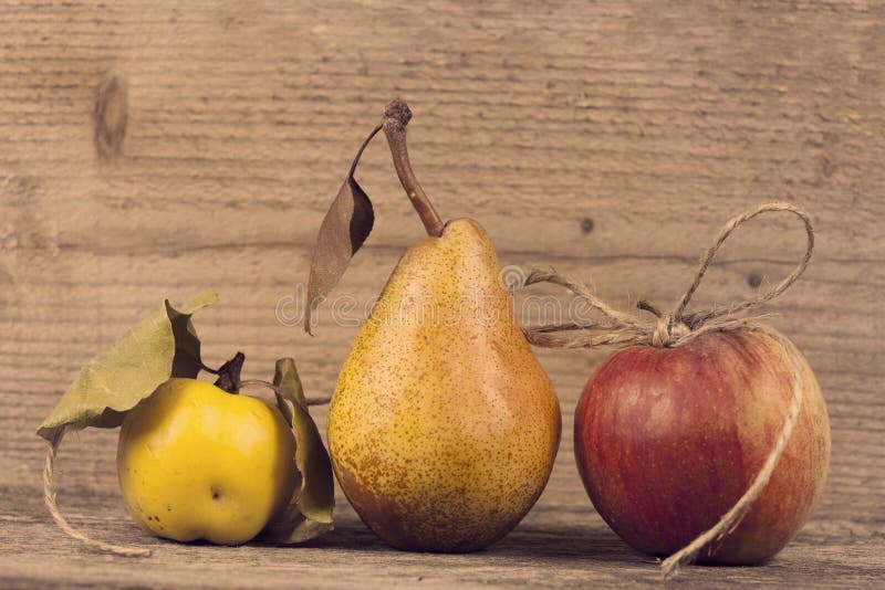 Maçã, Marmelo E Pera Orgânicos Foto de Stock - Imagem de naughty ...
