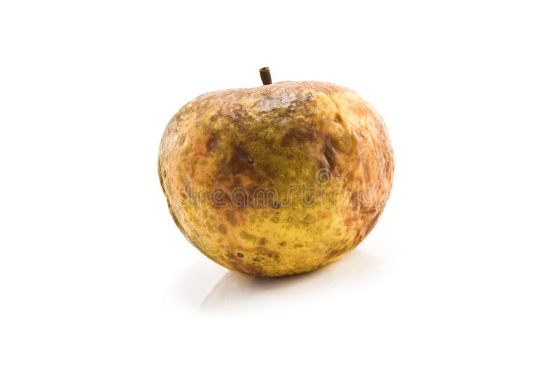 Maçã podre foto de stock. Imagem de insalubre, velho - 72845188