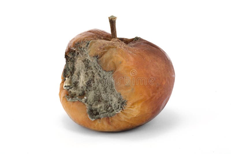 Maçã podre imagem de stock. Imagem de veneno, podre, fruta - 9188769