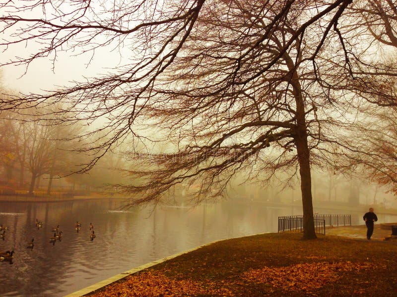 Mañana brumosa foto de archivo. Imagen de teléfono, niebla - 28009596