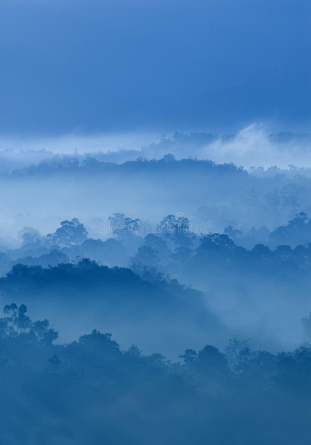 Mañana brumosa imagen de archivo. Imagen de amanecer, modelo - 7057687