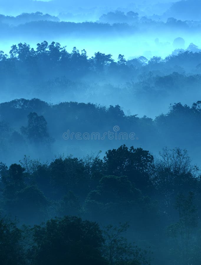 Mañana brumosa imagen de archivo. Imagen de silueta, paisaje - 7057787