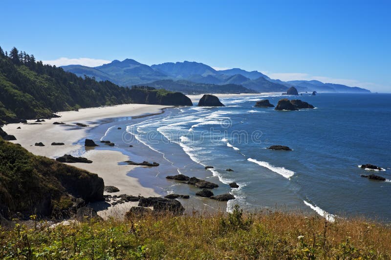 Panorama De La Costa Costa De Oregon Cerca De La Playa Del Cañón. Foto ...