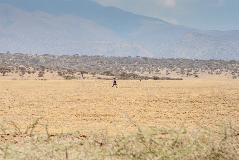 Maasai in open land editorial photo. Image of language - 25186426