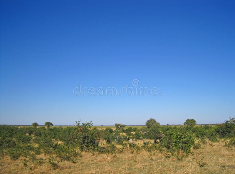Mababe Depression with Outer Ridge in the Distance on the Horizon Stock ...