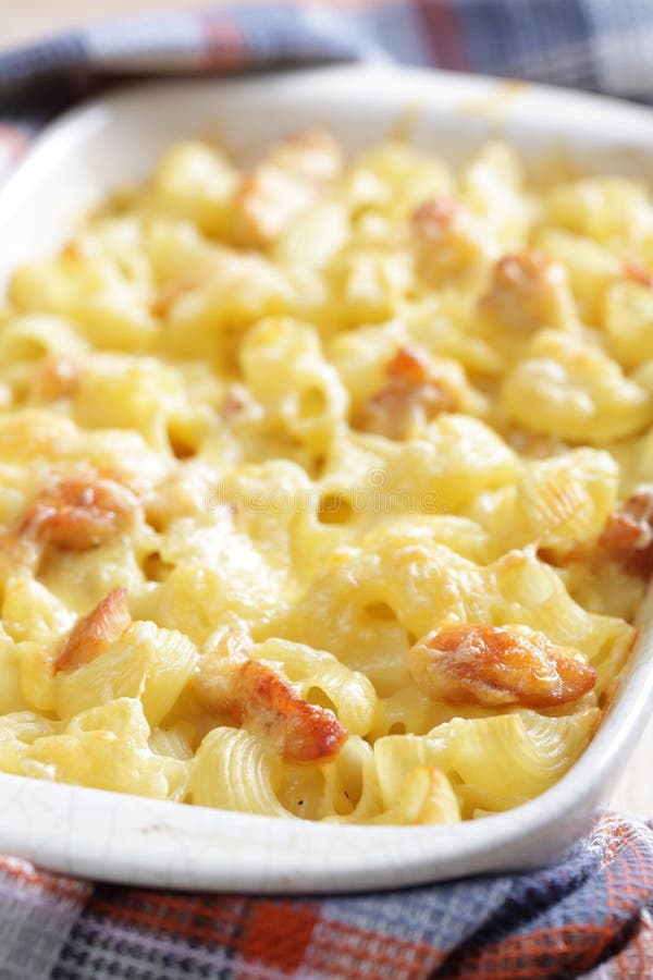 Mac cheese with chicken stock image. Image of baker, roasted - 19391777