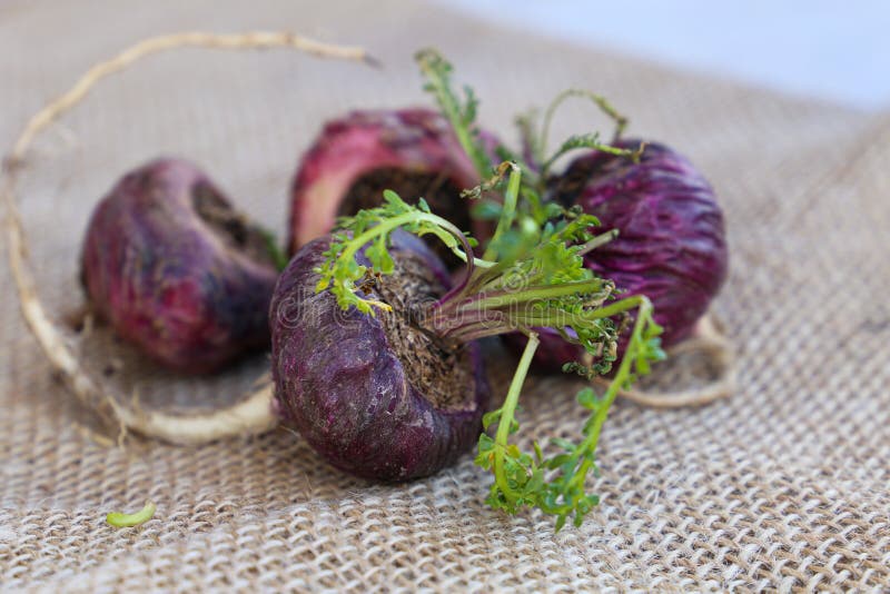 600 Peruvian Maca Root Stock Photos - Free & Royalty-Free Stock Photos ...