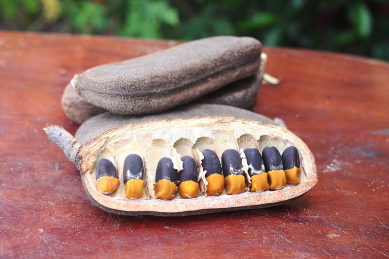 Maca Seeds are in the Pods. Stock Photo - Image of breakfast ...