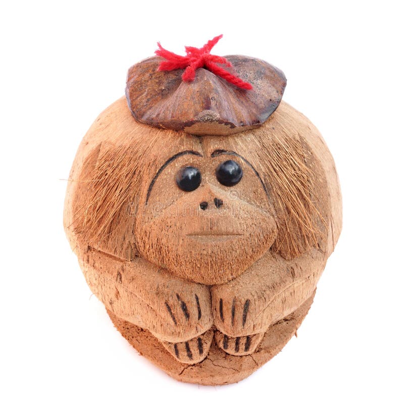 Macaco de um coco imagem de stock. Imagem de folhas, marrom - 43773775