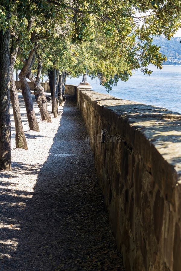 Macadam Path, Stone Wall, Olive Trees by the Sea Stock Photo - Image of ...