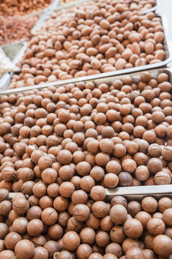 Macadamia stock image. Image of closeup, ball, nutrition - 26667149