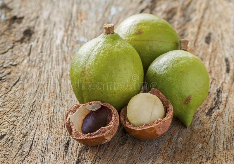 Macadamia in Husk and Shell Stock Photo - Image of nature, husk: 46750876