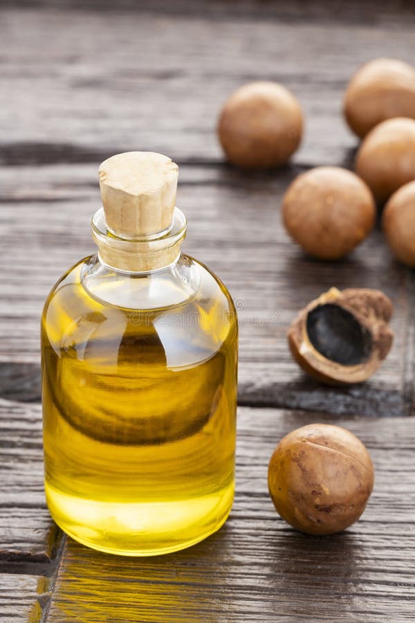 Macadamia Integrifolia - Natural Oil and Macadamia Nuts Stock ...