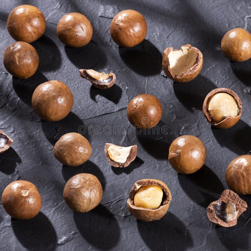 Top View of Macadamia Nuts - Macadamia Integrifolia Stock Image - Image ...