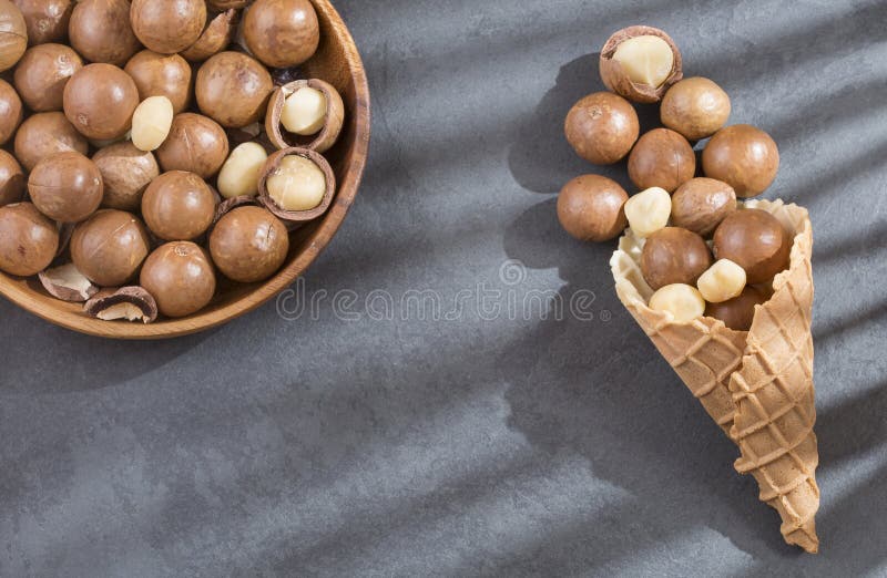 Macadamia Nuts - Macadamia Integrifolia Stock Image - Image of fruit ...