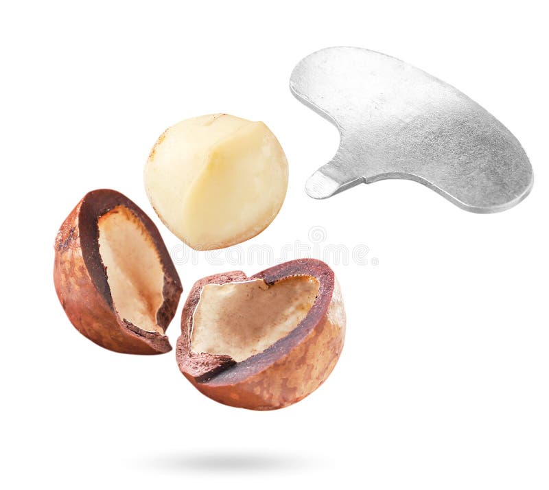 254 Macadamia Key Stock Photos - Free & Royalty-Free Stock Photos from ...