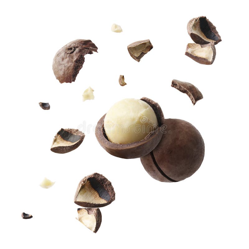 Macadamia Nut and Crushed Shells in Air on White Background Stock Photo ...