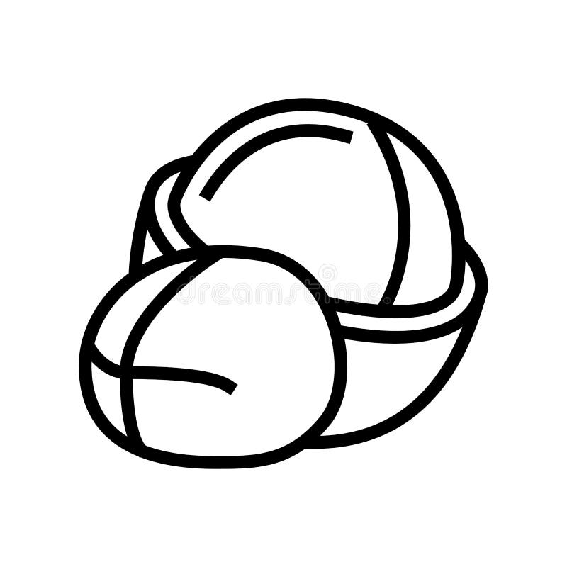 Macadamia Line Stock Illustrations – 957 Macadamia Line Stock ...