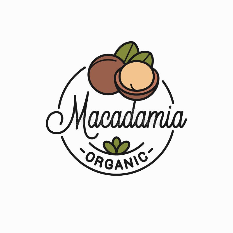 Linear Set of Macadamia Nuts. Collection of Icons. Vector Line Drawing ...