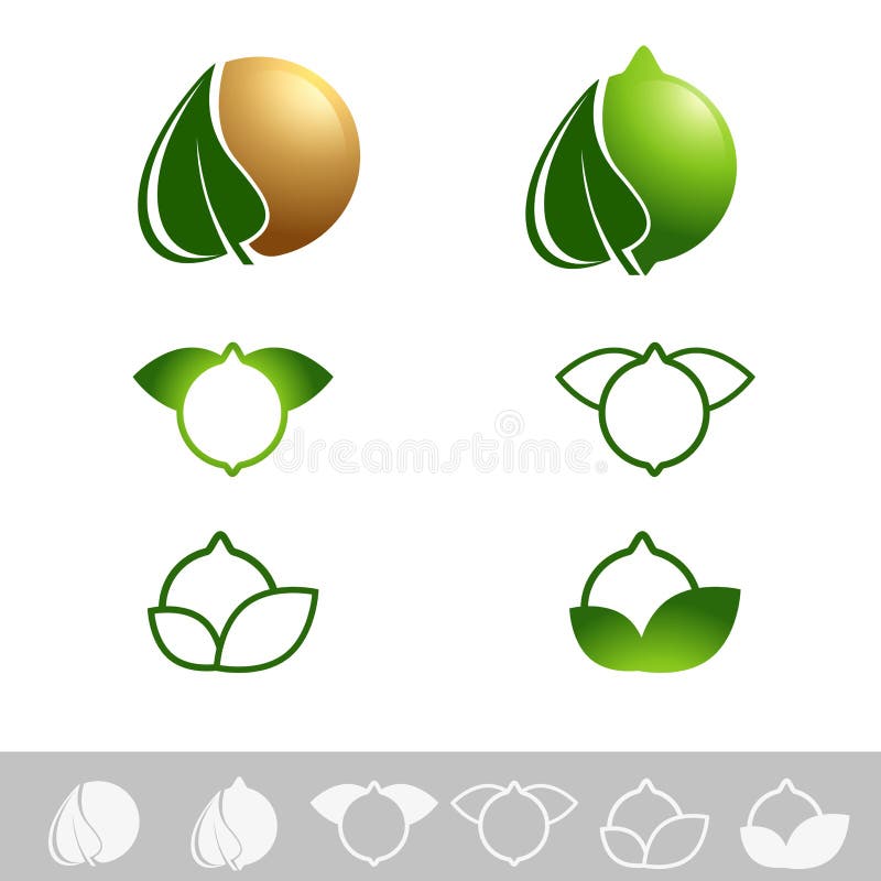 Macadamia Logo Stock Illustrations – 681 Macadamia Logo Stock ...