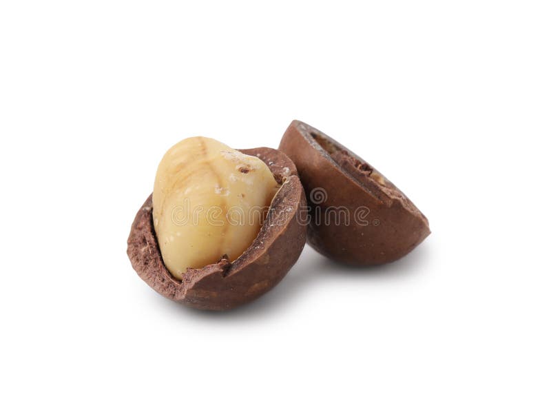 Macadamia Nut with Shell Isolated on White Stock Image - Image of shell ...