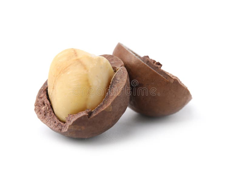 Macadamia Nut with Shell Isolated on White Stock Image - Image of ...