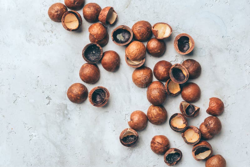 Macadamia Nut Shells Scattered on a Gray Concrete Background Stock ...