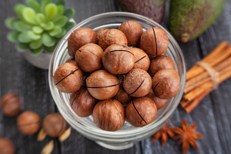 Macadamia nut on wood stock photo. Image of healthy - 273375056