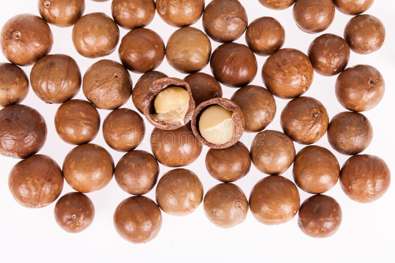 Macadamia Nuts or Australian Walnuts on White Background Stock Image ...