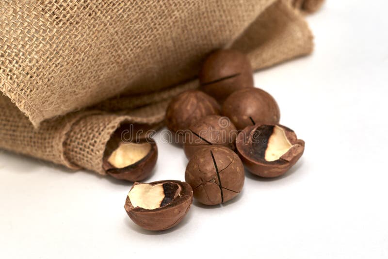A Macadamia Nuts on Burlap Background Backdrop Stock Photo - Image of ...