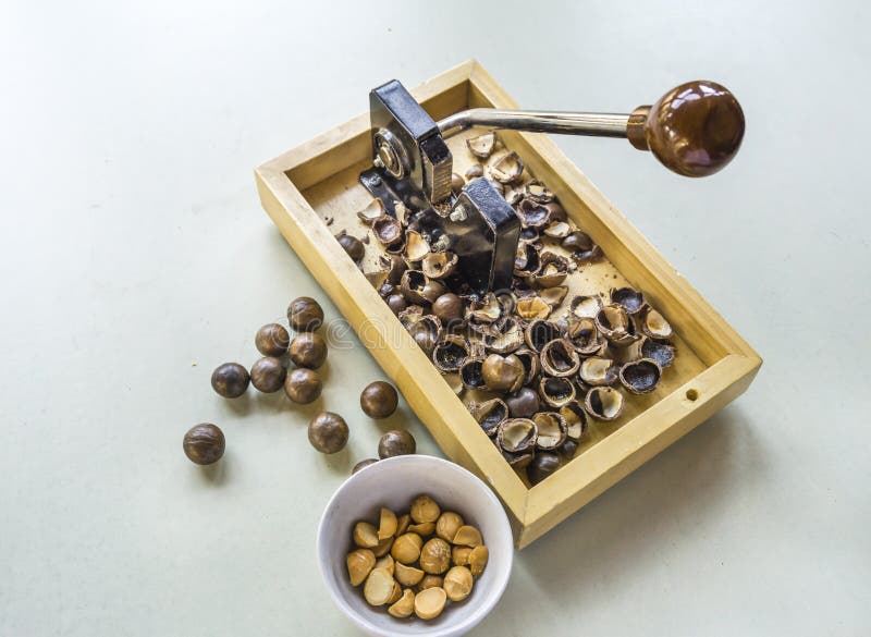 Macadamia Nuts with Cracker Stock Photo - Image of taste, shell: 64852074