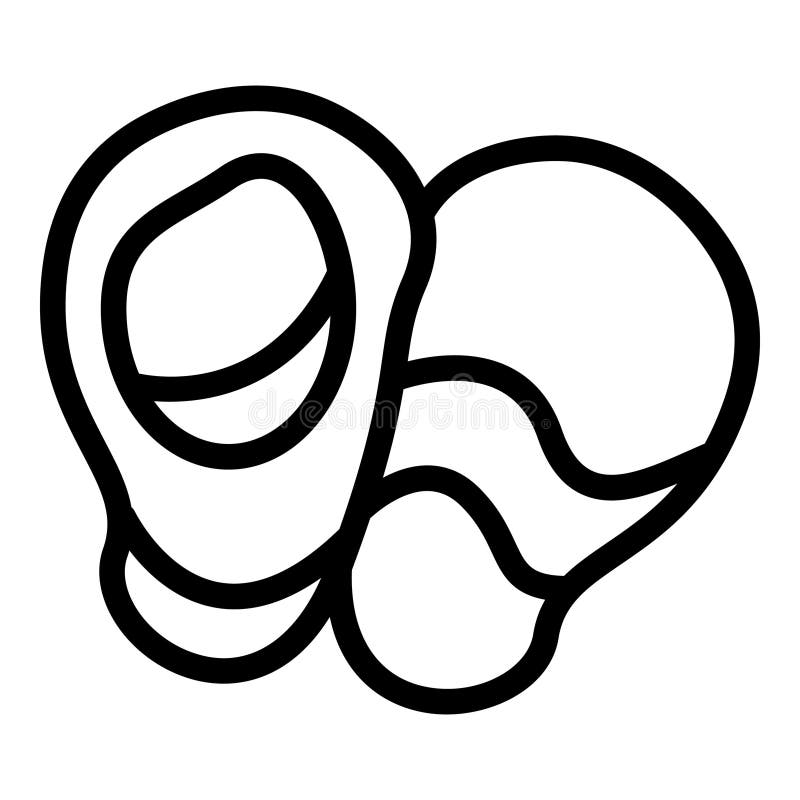 Macadamia Nuts Cracking Open Showing Nut and Shell Line Art Drawing ...