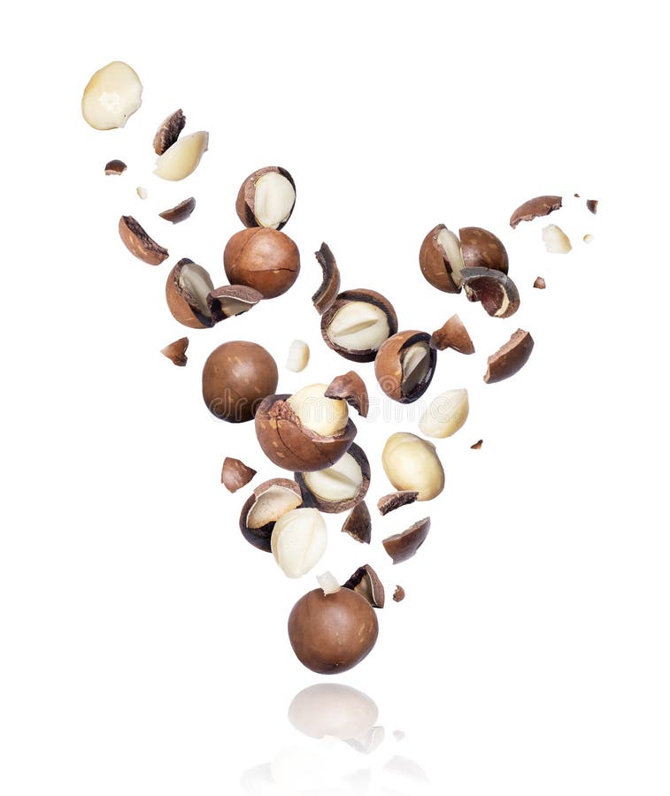 Macadamia Nuts Crushed in the Air Close Up on a White Background Stock ...