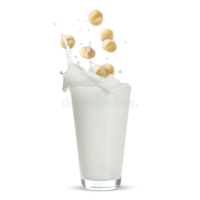 Macadamia Nuts Falling into Glass of Milk on White Background Stock ...