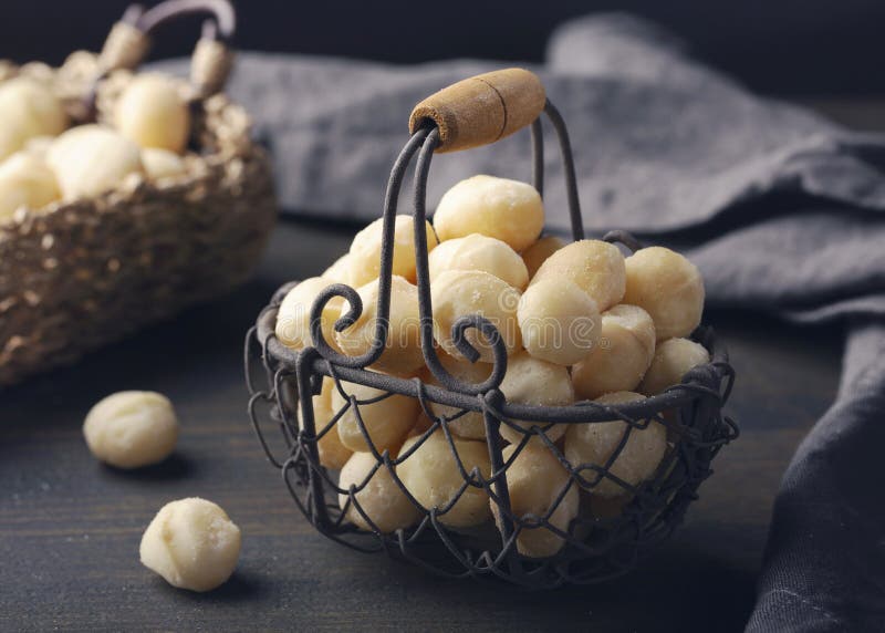 Macadamia nuts stock image. Image of salted, bauple - 213064925