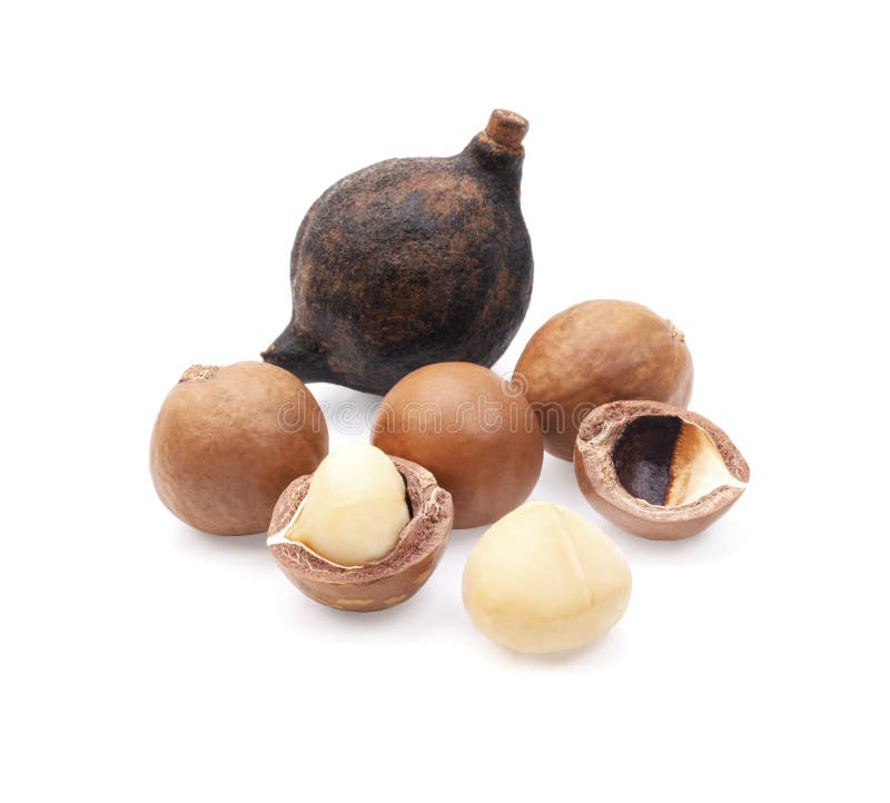 Macadamia Nuts, Isolated on White Background. Shelled and Unshelled ... Macadamia Nuts, Isolated on White Background. Shelled and Unshelled ...