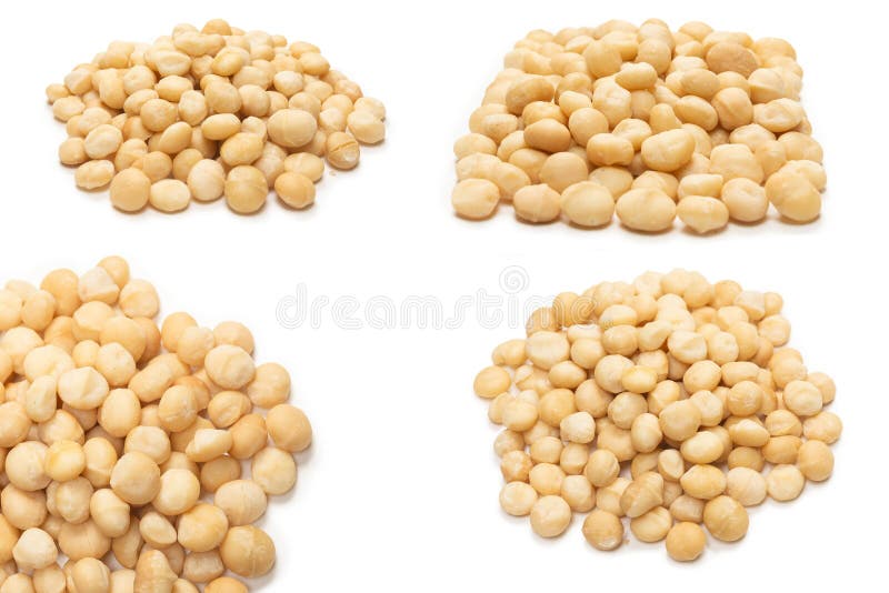 Macadamia Nuts Isolated on White Background Stock Image - Image of ...